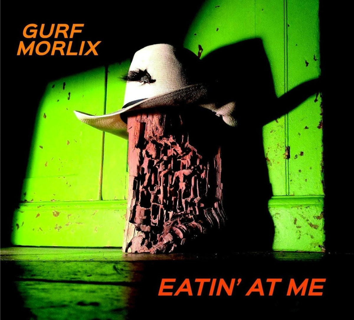 Gurf Morlix – Official Website – Infamous Integrity